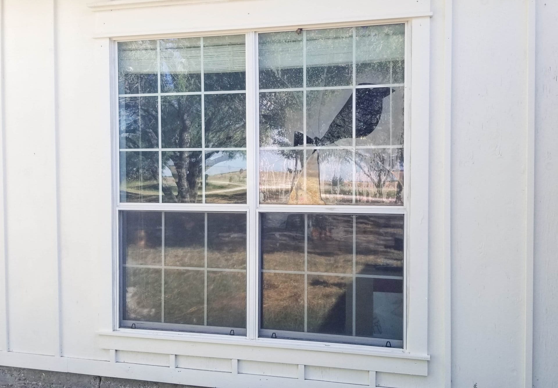 DIY Window Pane Replacement – The Inspired Workshop